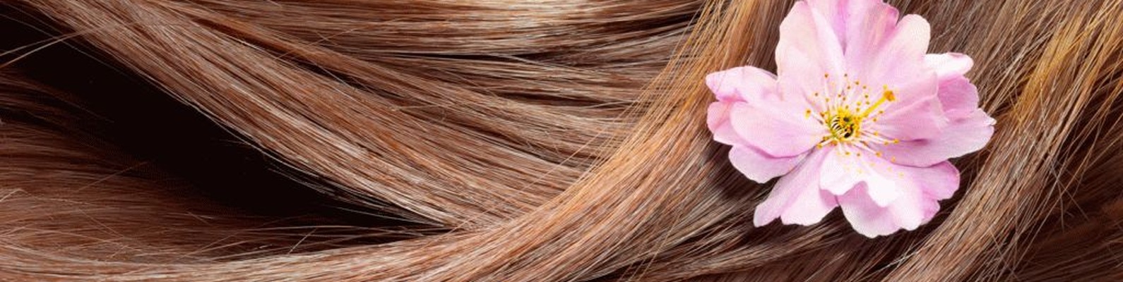 il gele. ИЛЬЖЕЛЕ | il gele натуральная косметика для волос. 2025 ...